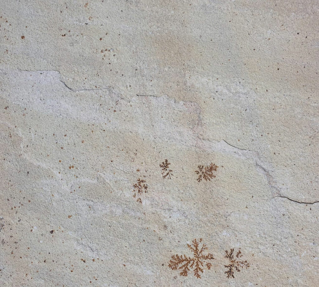 Hale Beige Sandstone Paving | Forest Stone