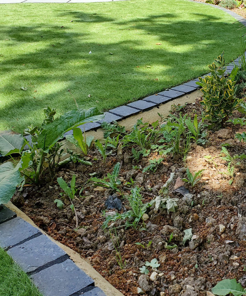 Blissford Tumbled Limestone Setts | Forest Stone