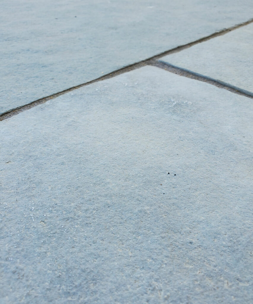 Lepe Blue Limestone Paving | Forest Stone