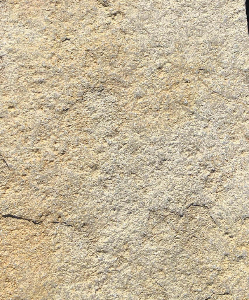 Blissford Tumbled Limestone Paving | Forest Stone