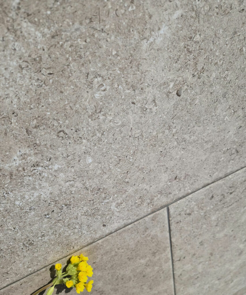 Bramshaw Ash Porcelain Paving | Forest Stone